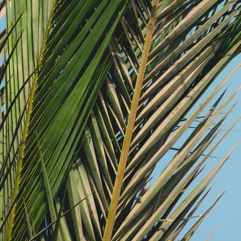 Enjoy Ras Soma in Hurghada, Egypt | Call 16160 Now